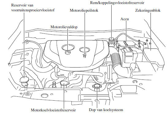 Mazda 2: Sluiten van de motorkap - Motorkap - Zelf uit te voeren ...